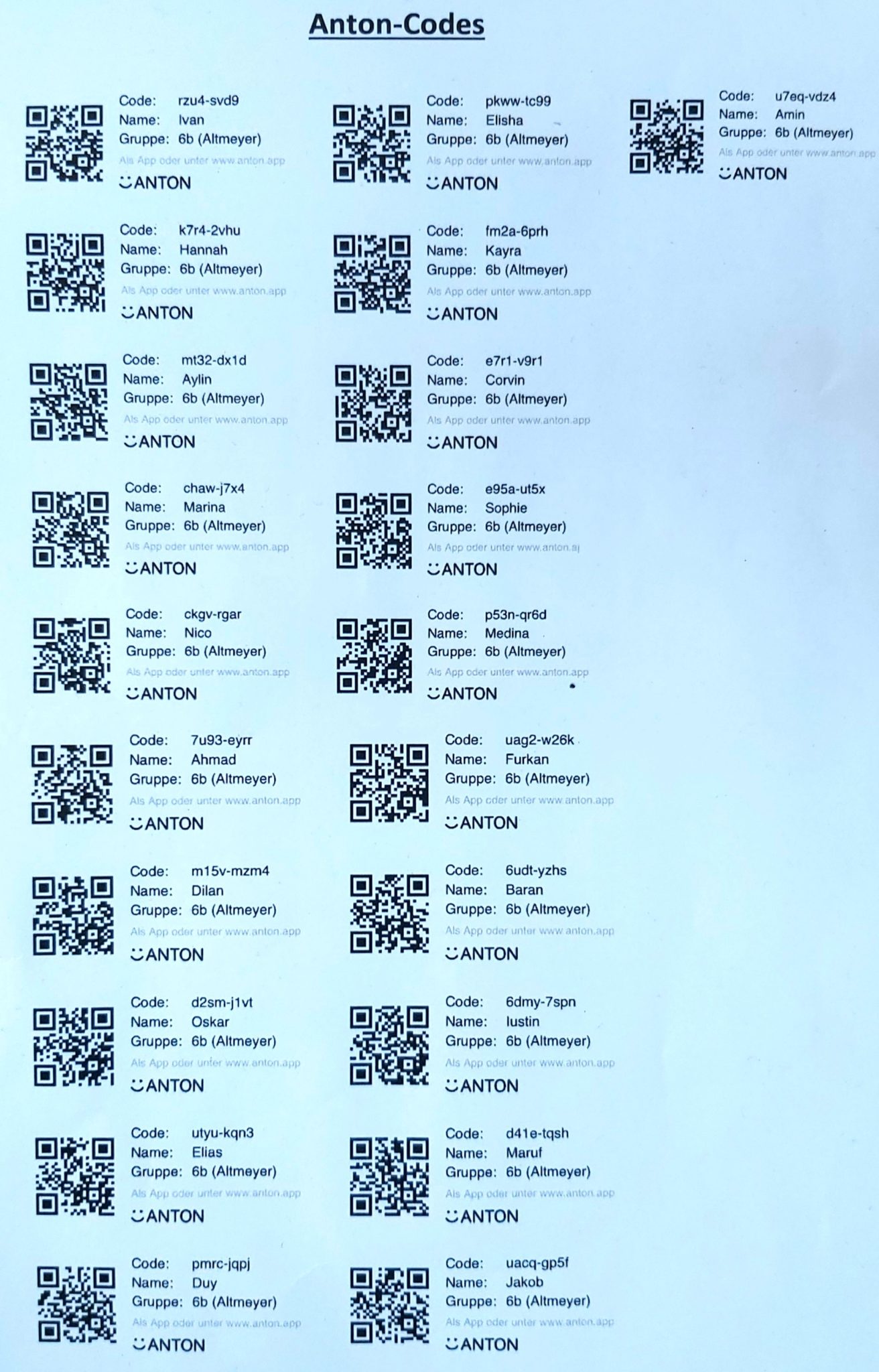 Antoncodes-für-zuhause - Burgfeld Realschule plus